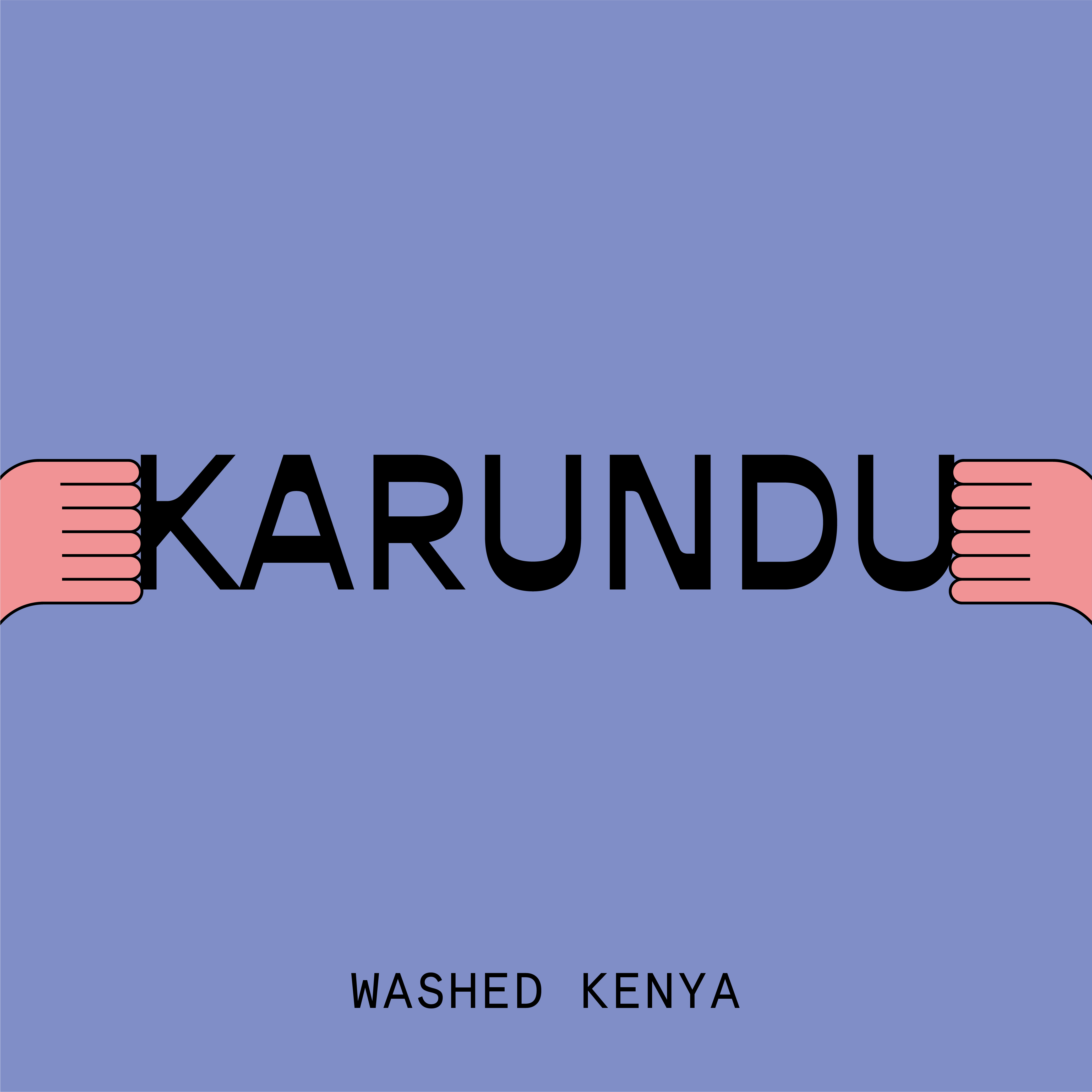 Kenya Karundu – Superthing Coffee Roasters